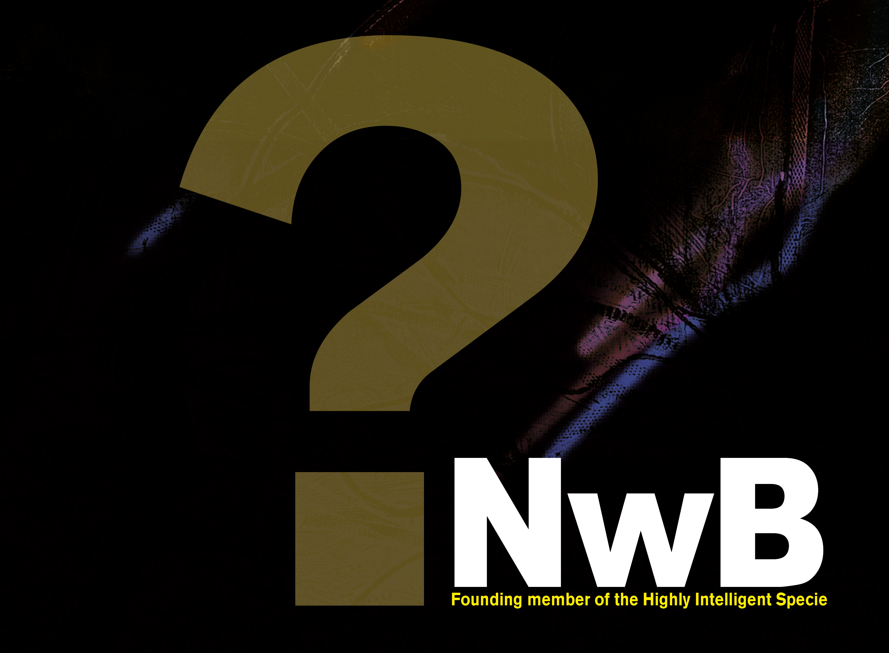 I Am NwB – Philip Abang